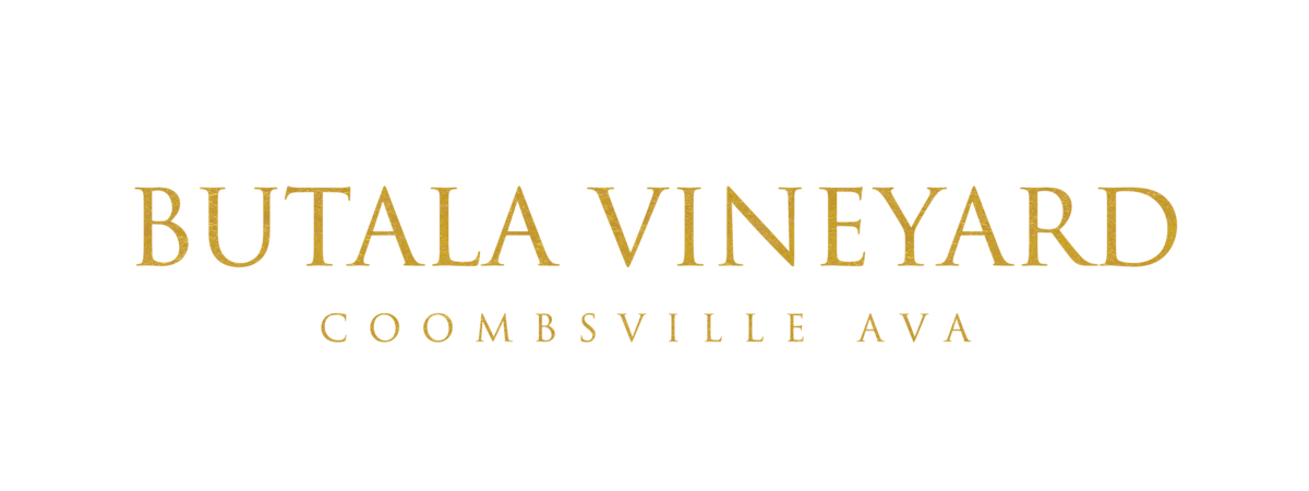 Butala Vineyards | Coombsville AVA Wines | Castello di Amorosa