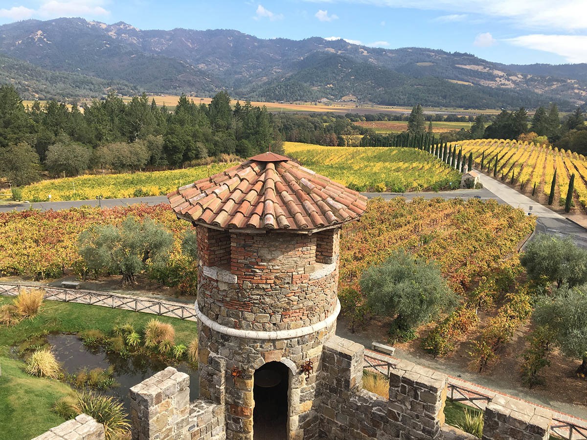 Fall in the Vineyard | Fall Season Wines | Castello di Amorosa